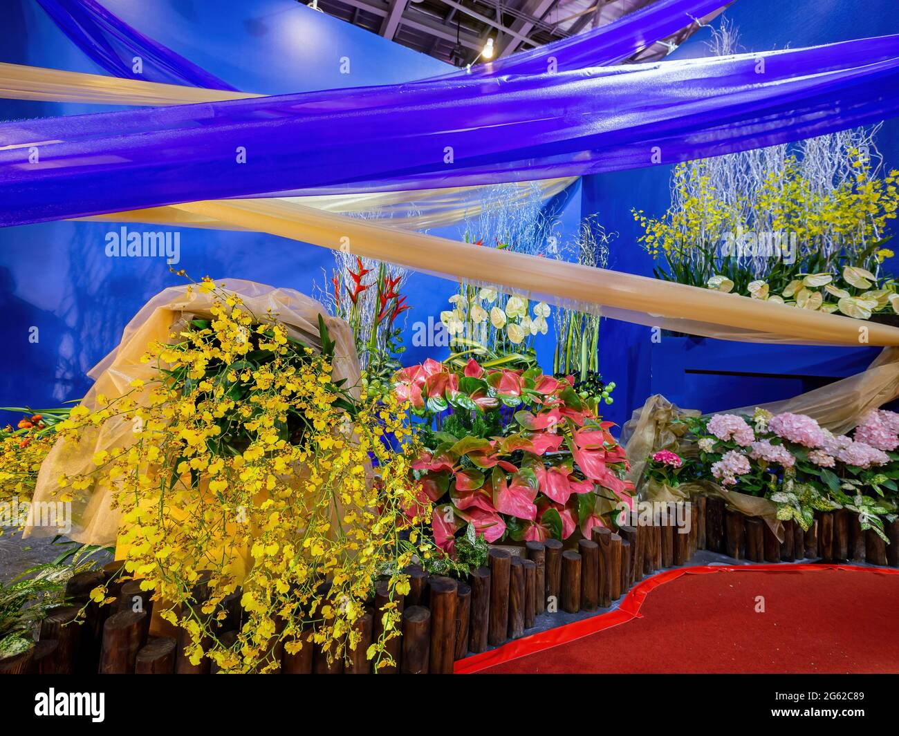 International flower hi-res stock photography and images - Alamy