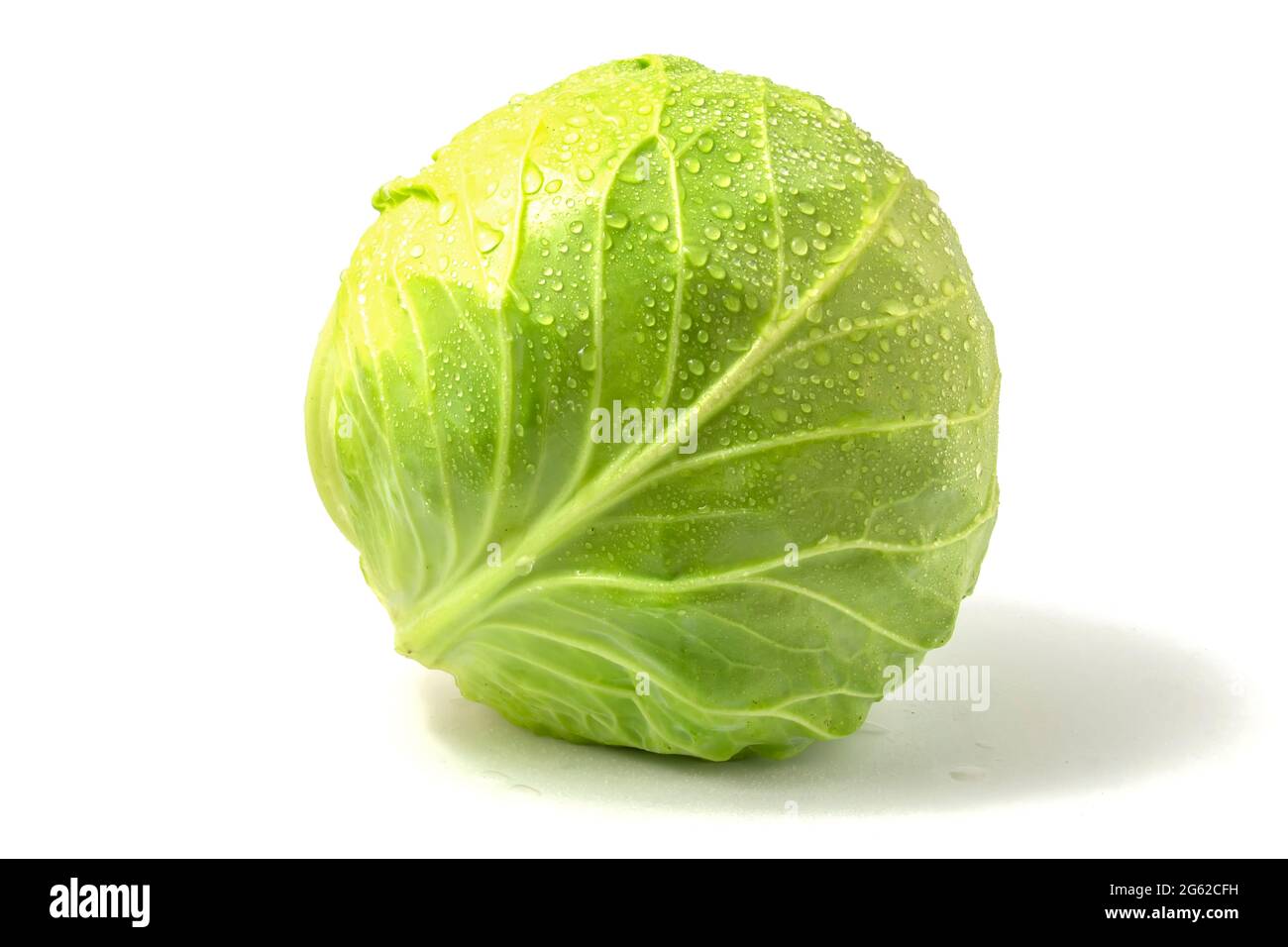 Insect cabbage white butterfly Cut Out Stock Images & Pictures - Alamy