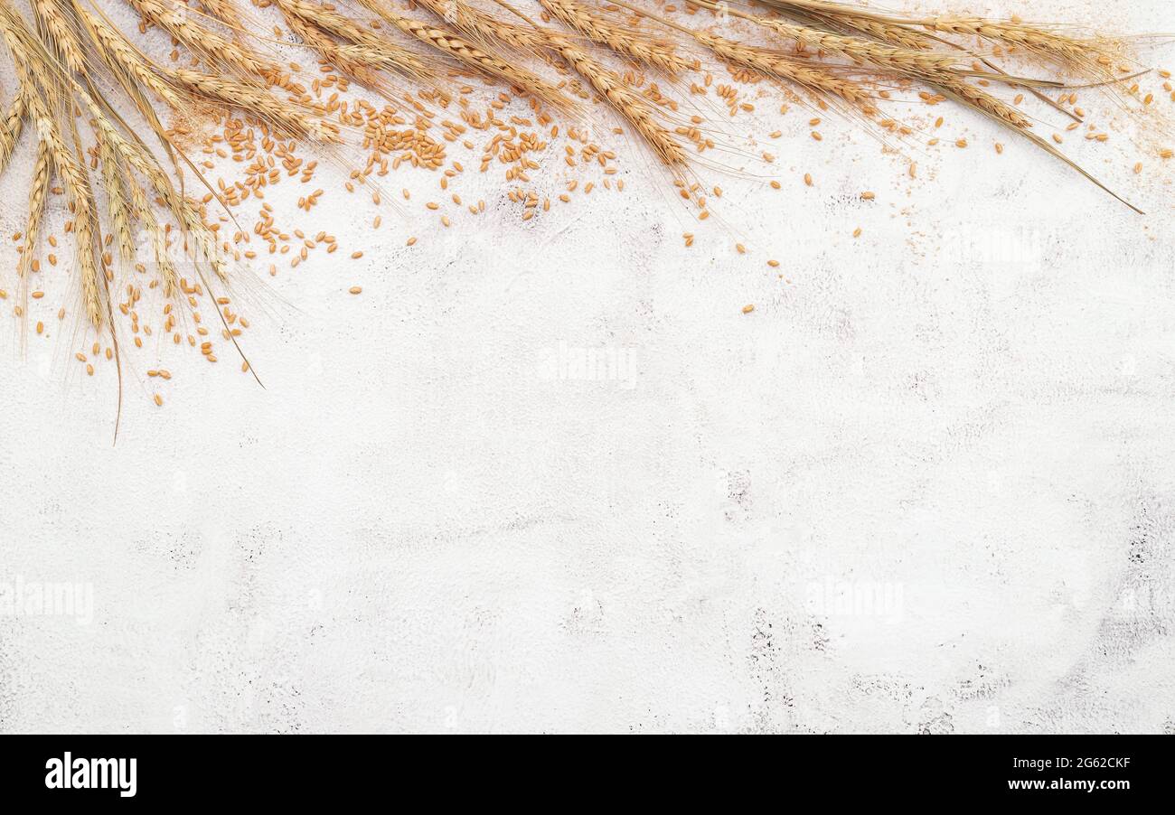 Wheat ears and wheat grains set up on white concrete background Stock ...