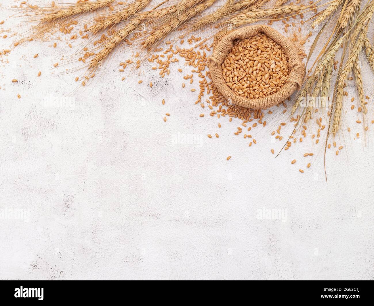 Wheat ears and wheat grains set up on white concrete background Stock ...