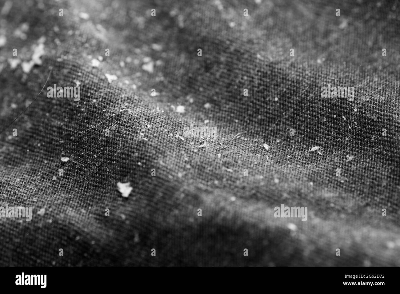 Macro of dandruff or white flakes on cloth Stock Photo - Alamy