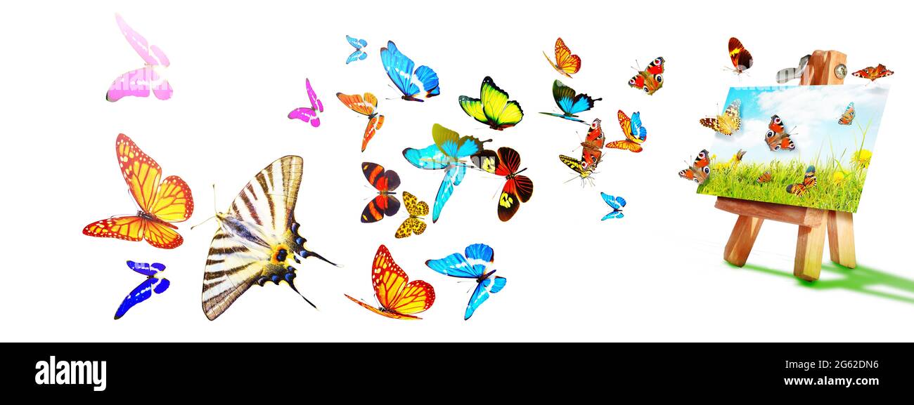 Colorful morning view in Cut Out Stock Images & Pictures - Alamy