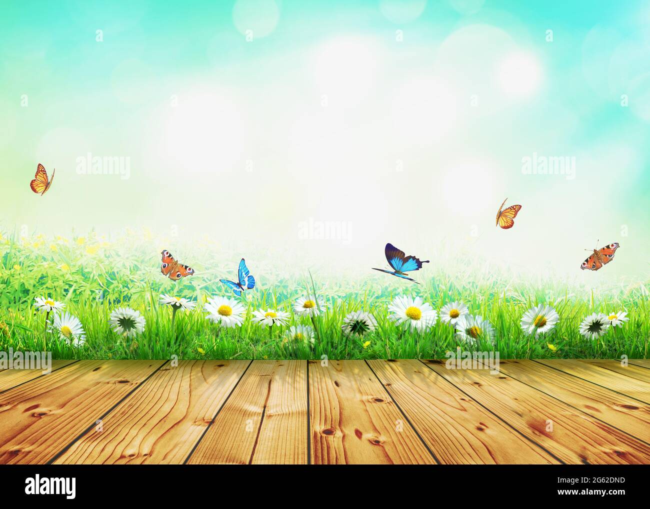 Flying butterfly in spring morning. Panoramic view Stock Photo - Alamy