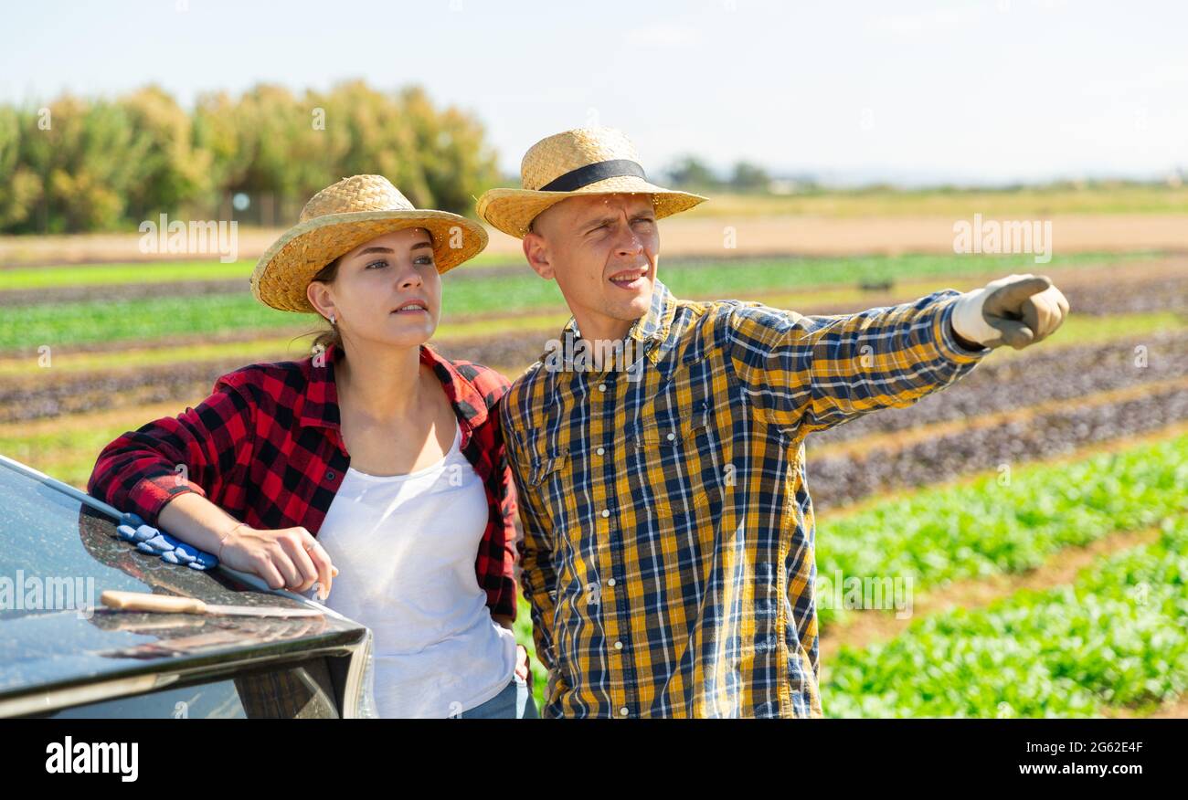 Farm workers talking on a farm field, pointing to something Stock Photo ...