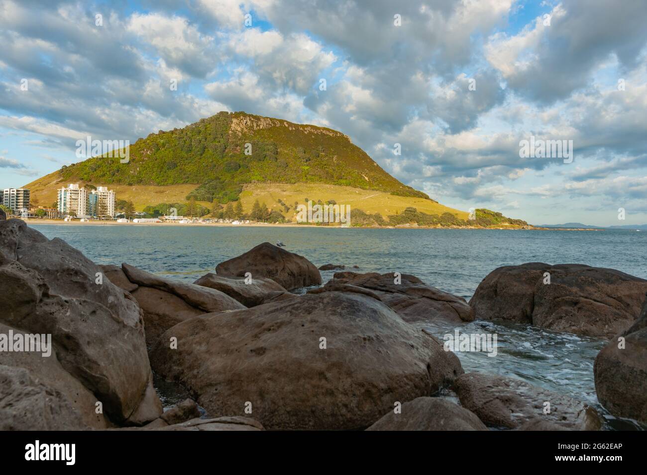 Moturiki island new zealand hi-res stock photography and images - Alamy