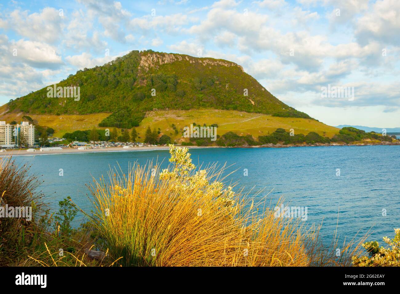 Moturiki island new zealand hi-res stock photography and images - Alamy