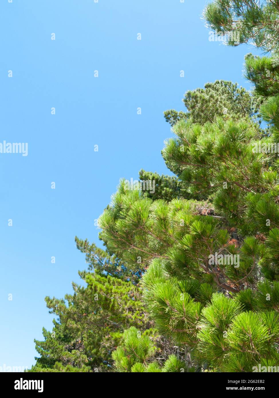 Vertical diagonal hi-res stock photography and images - Alamy