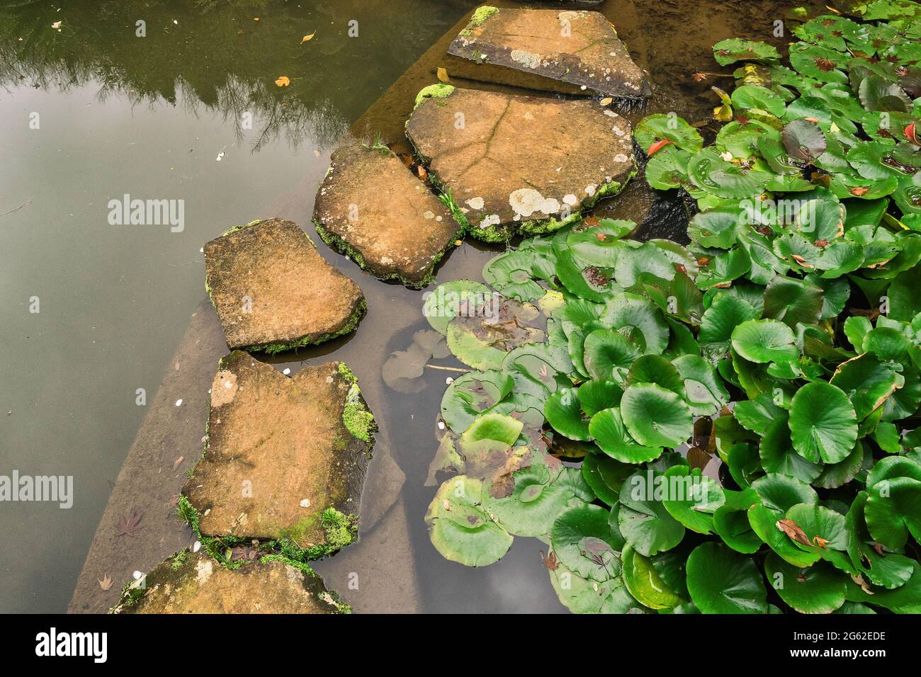 Stepping into pool hi-res stock photography and images - Alamy