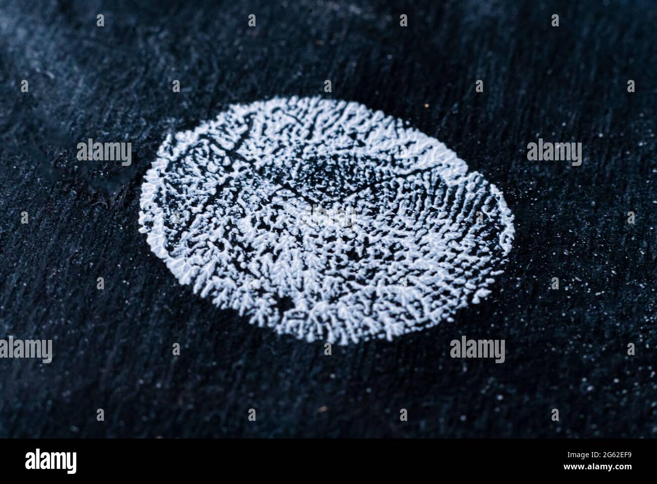 Fingerprint evidence hi-res stock photography and images - Alamy