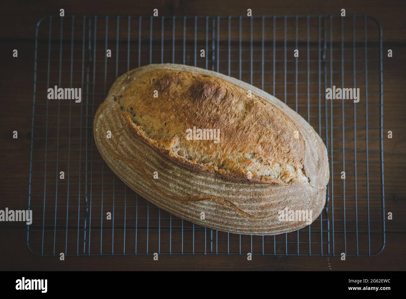 Homemade sourdough bread artisan freshly baked on a cooling rock wood ...