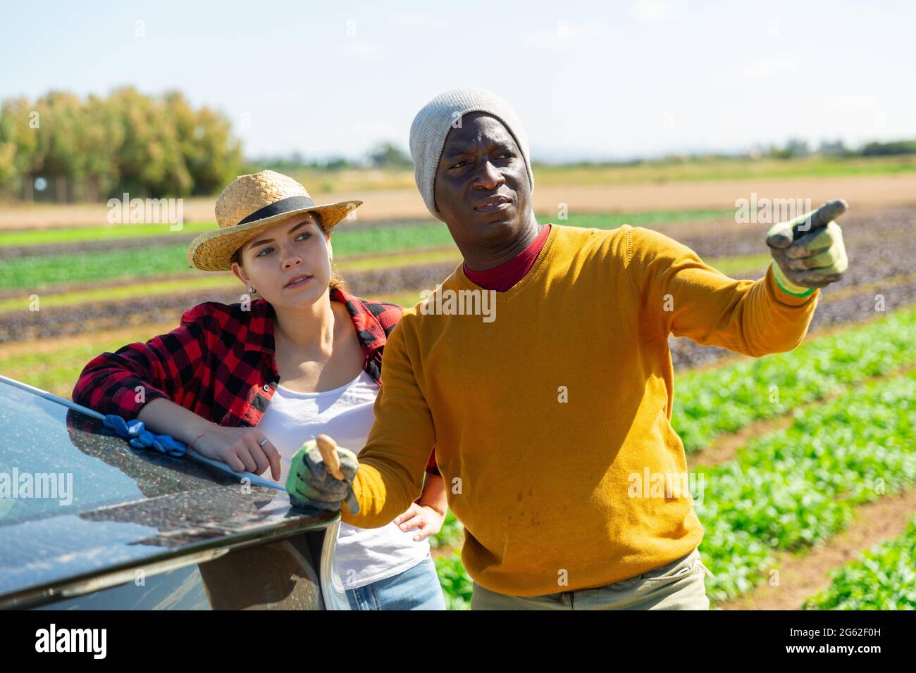 Two farmers talking near car at field Stock Photo - Alamy