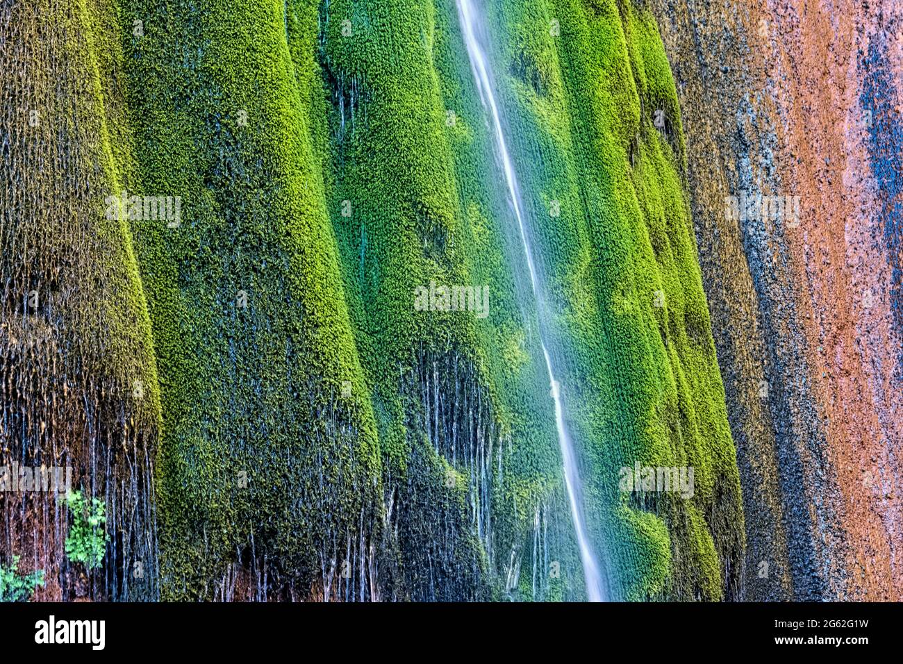 Moss on Ribbon Falls, Grand Canyon National Park, Arizona, U.S.A Stock ...
