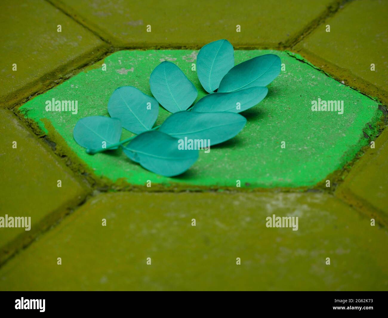 Eight leaves pair natural theme presentation on hexagonal shape surface ...