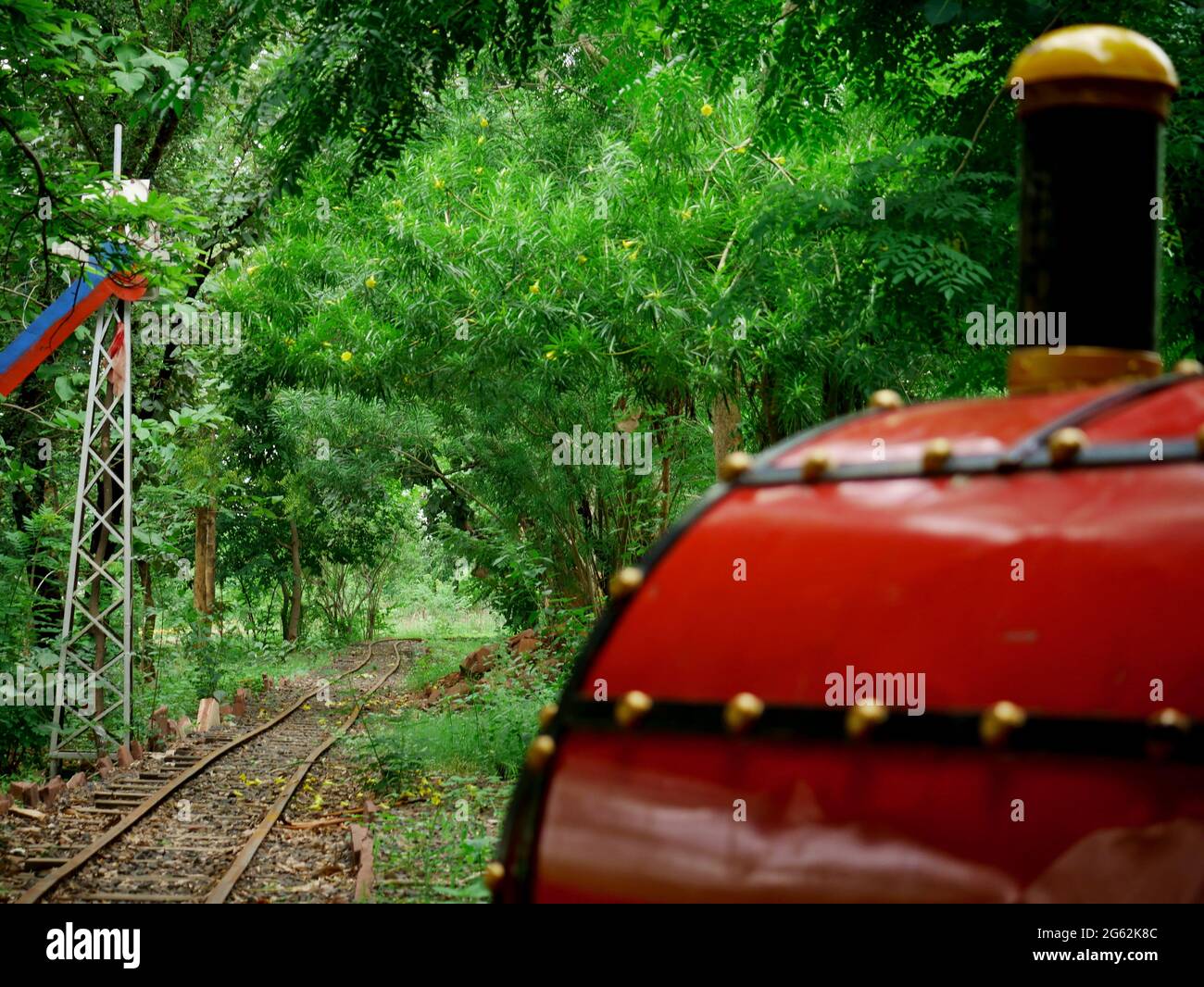 Kids train front view at natural green garden background for commercial ...