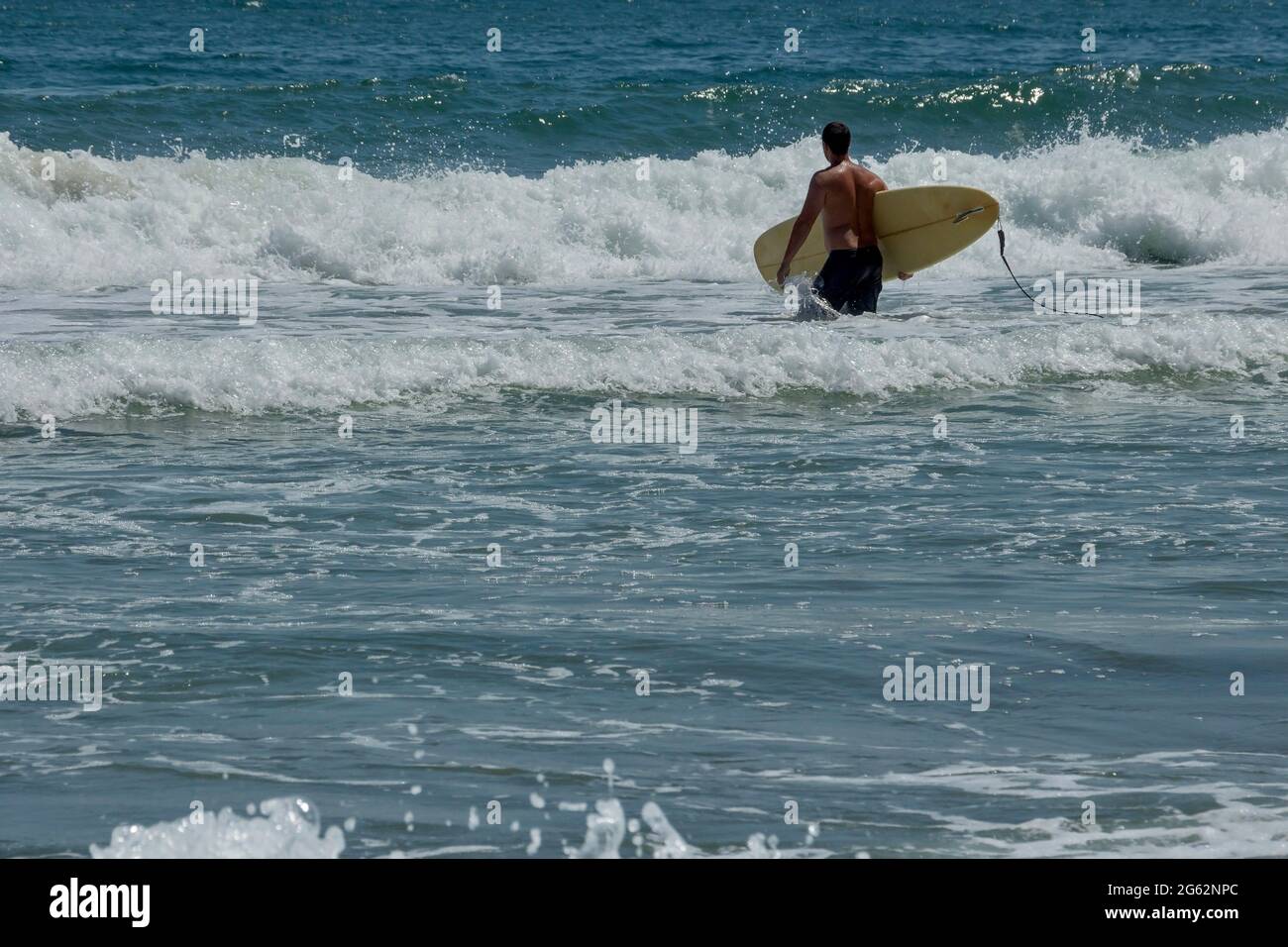 Back view of man with surf in the sea Stock Photo - Alamy