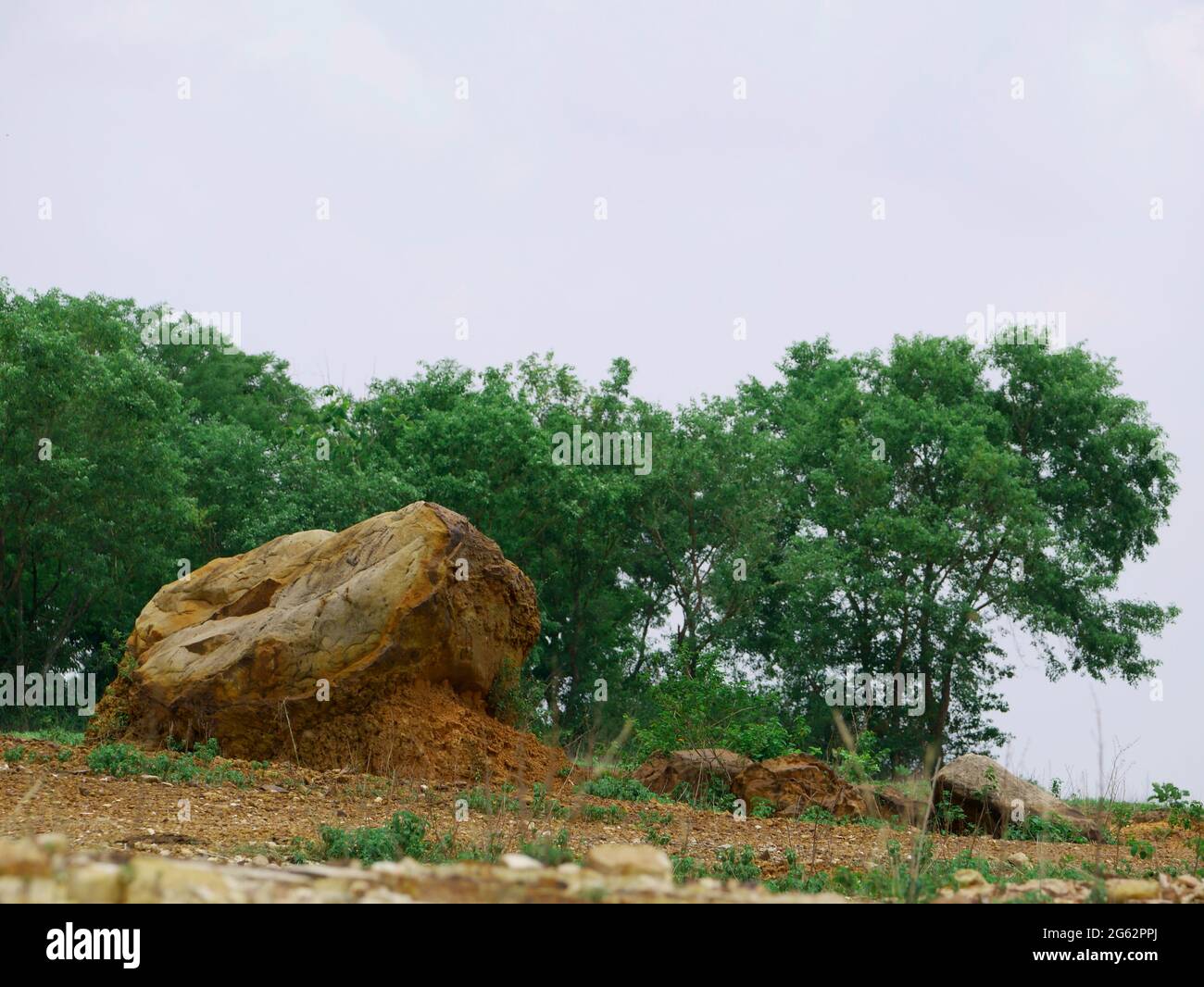 Huge big stone rock presented on green tree with sky background Stock ...