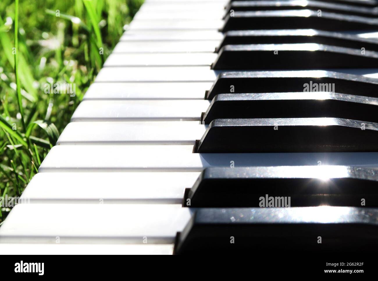 Piano Keyboard closeup on the Green Grass with a Sunlight Stock Photo ...