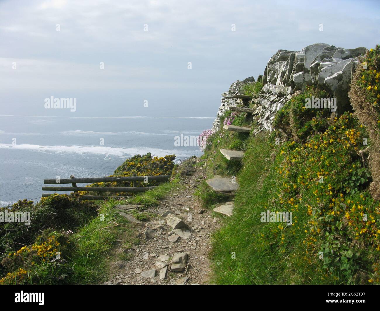 Stone ladder steps. South west coast path. North Cornwall. West country ...