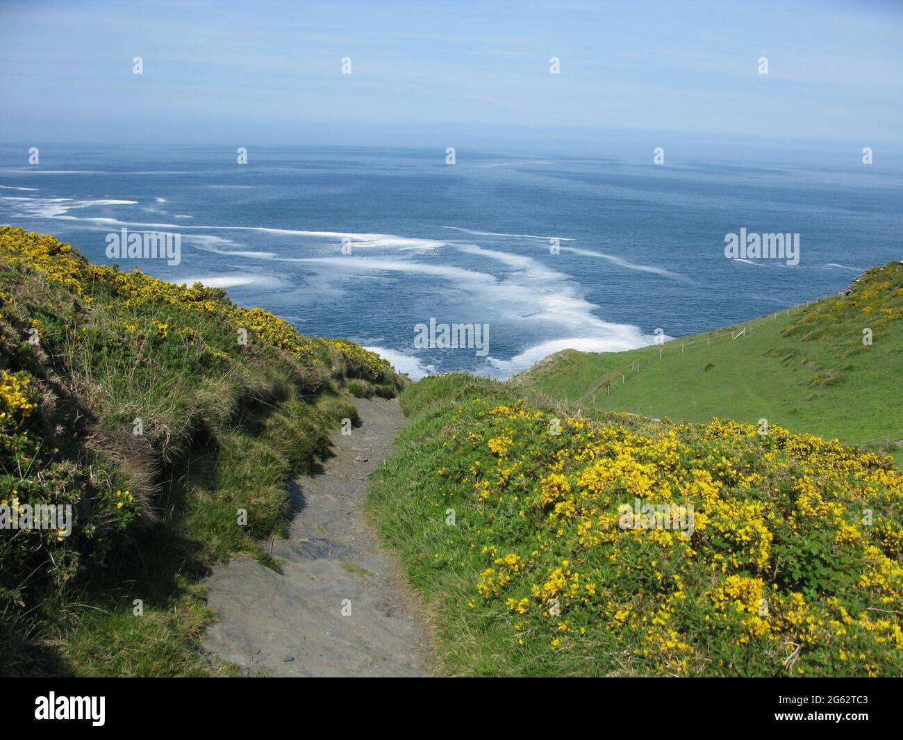 South west coast path. North Cornwall. West country. England. UK Stock ...