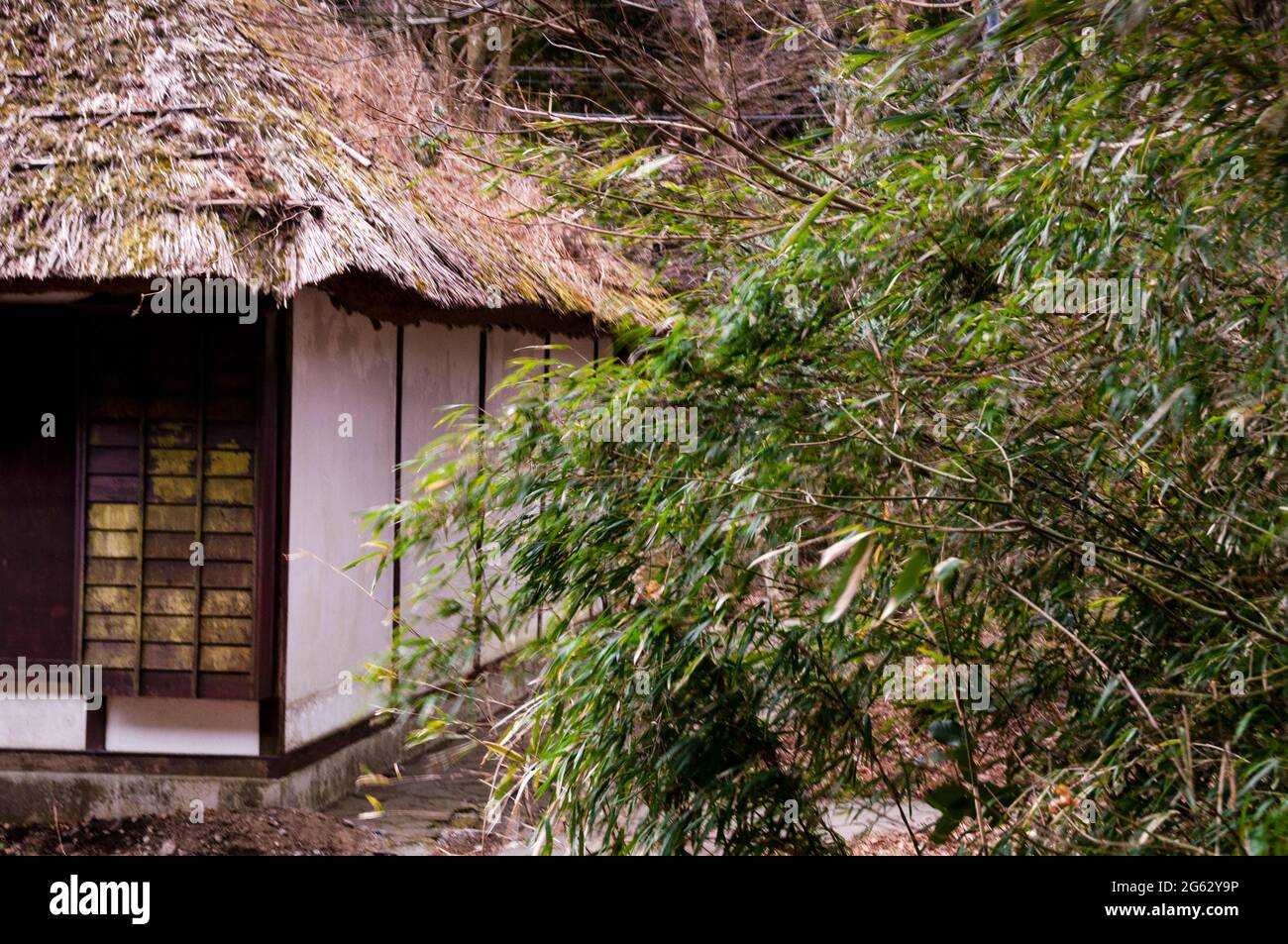 Thatched roof abandoned Japanese tea house in mountainous Hakone, where ...