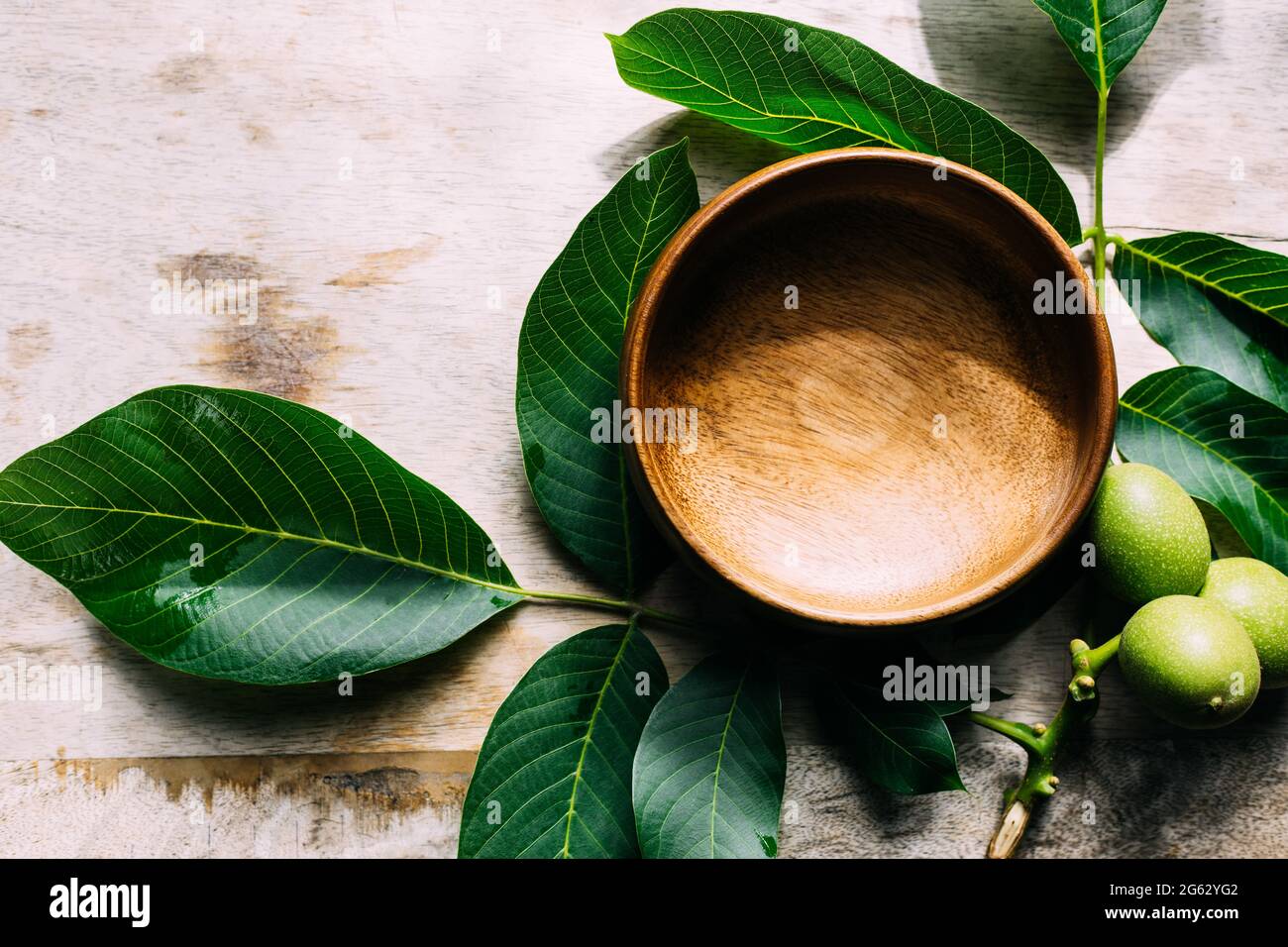 eco-friendly background. green leaves and a wooden bowl on the table ...