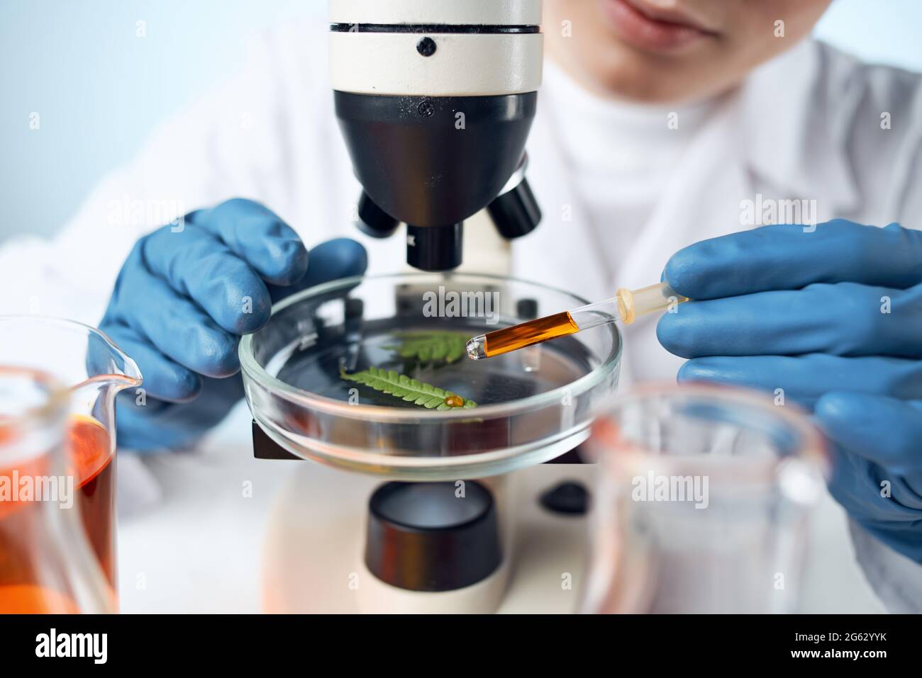 Laboratory technician blue gloved microscope professional technology ...