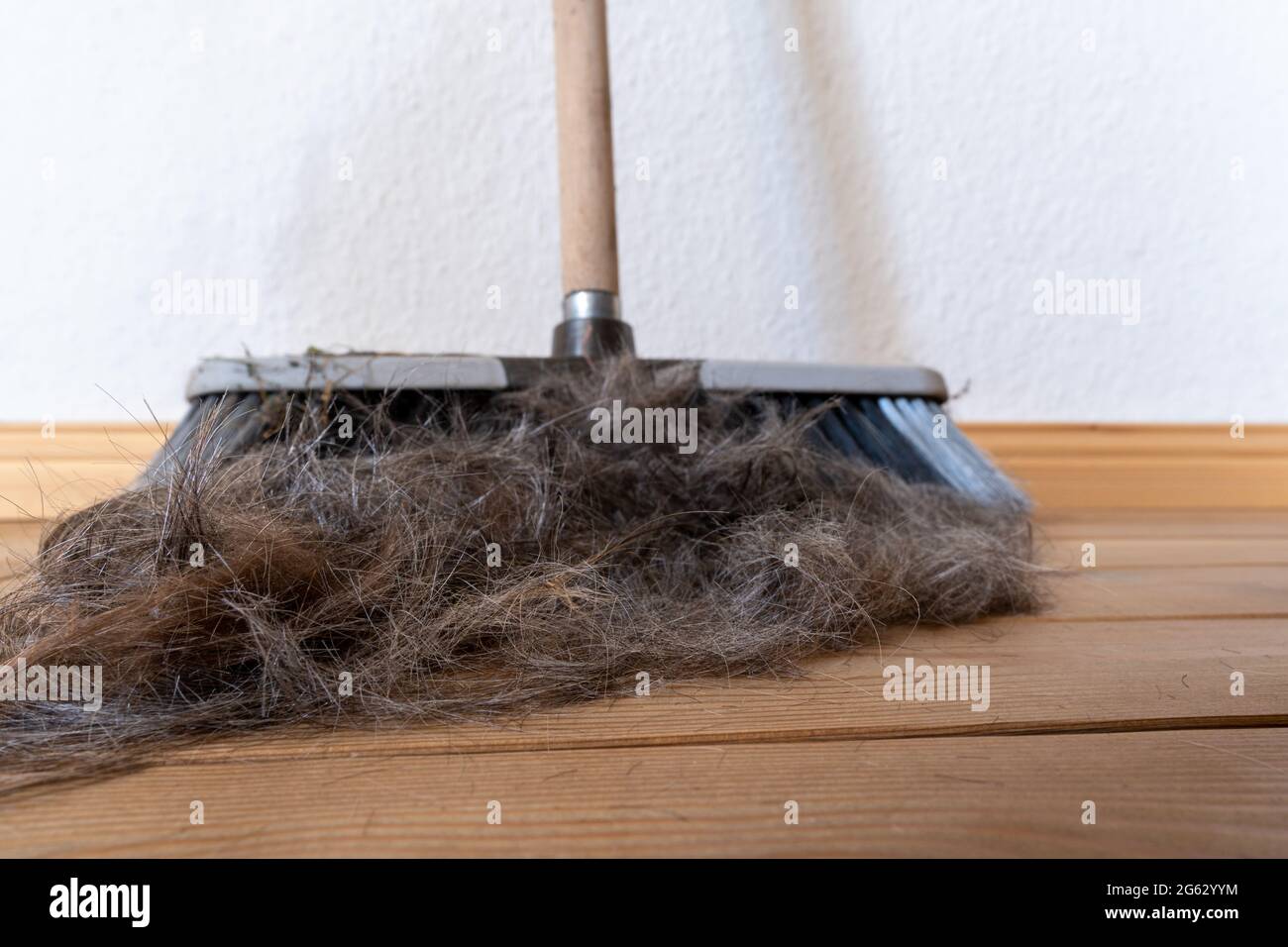 Brush broom with dustpan cleaning human hair Stock Photo - Alamy