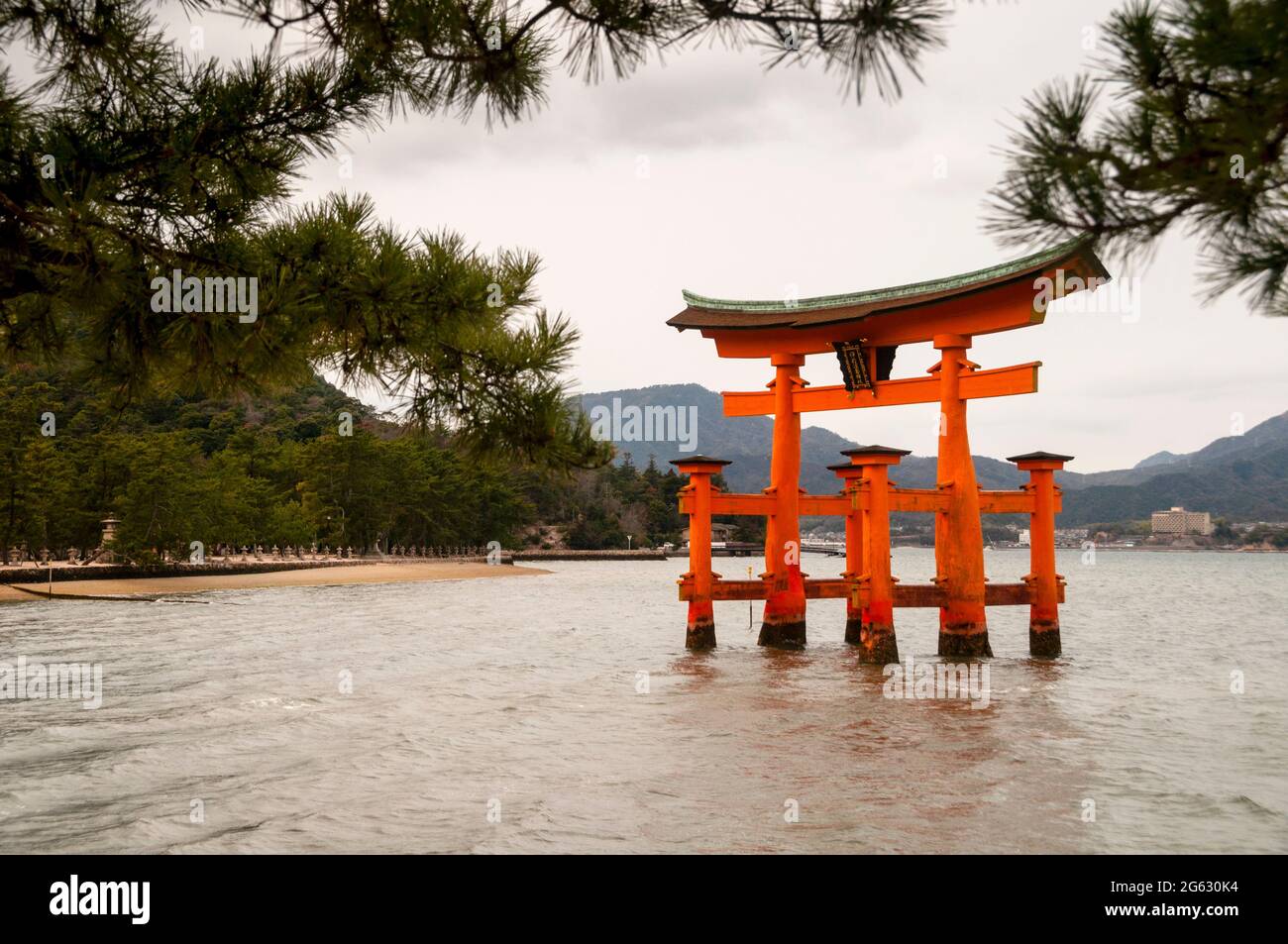 The Japanese Island of Miyajima and a floating torii gate surrounded by ...