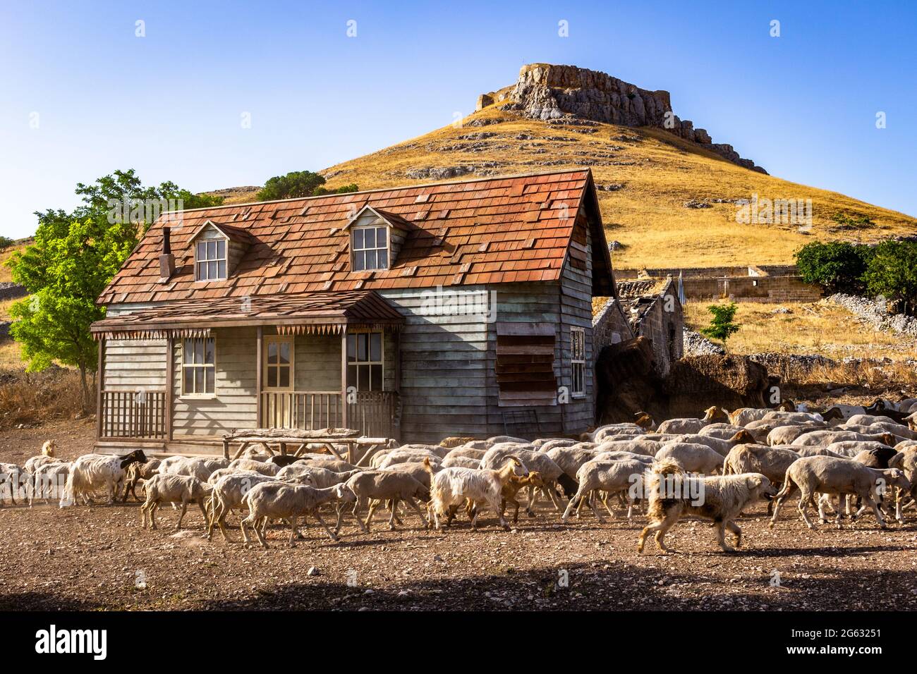 Pecore gregge hi-res stock photography and images - Alamy