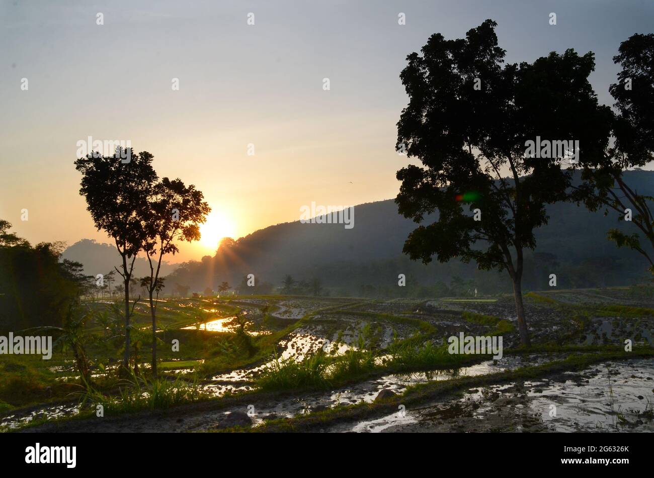 Rise paddies hi-res stock photography and images - Alamy