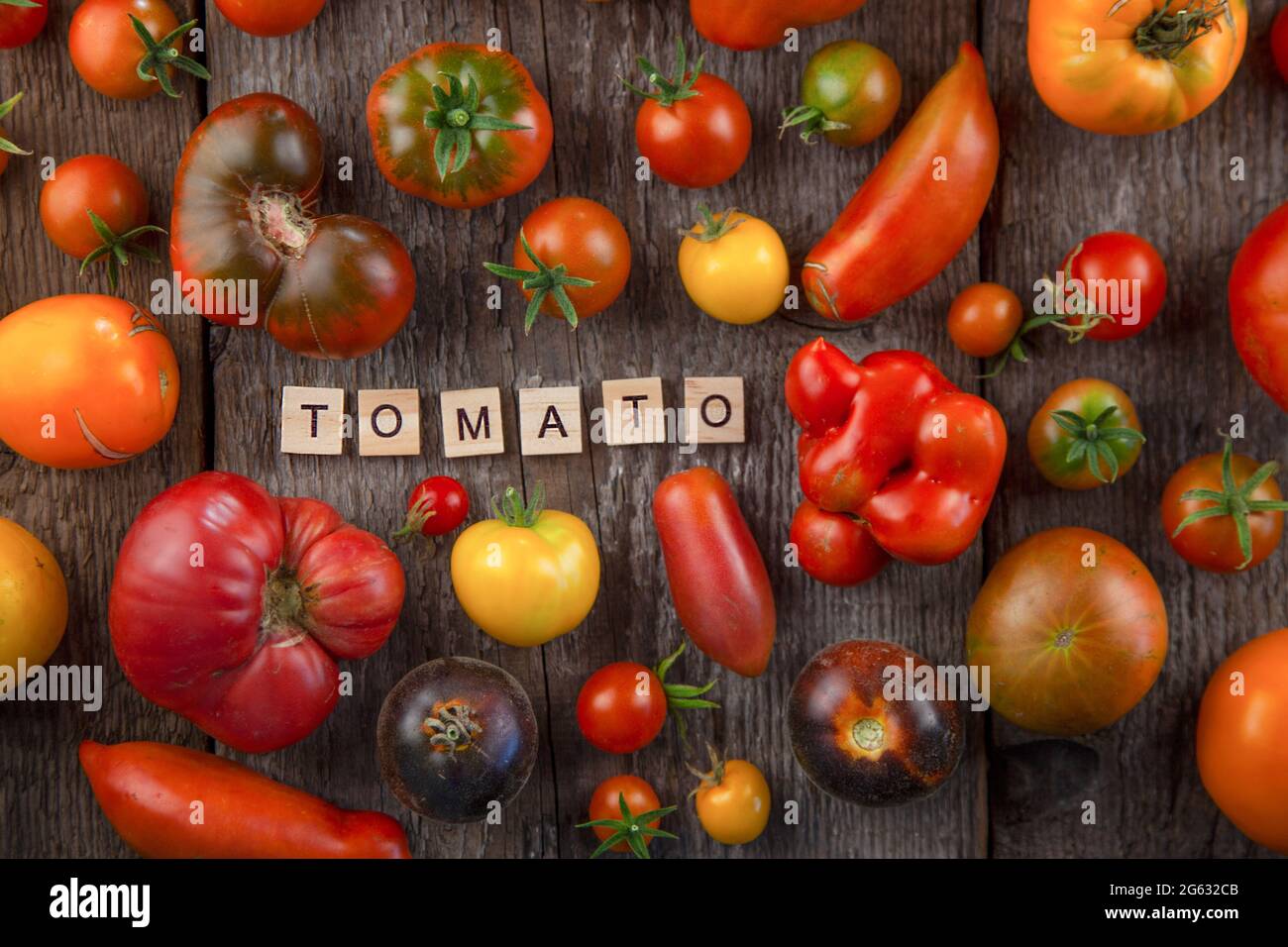 Summer harvest of tomatoes of different varieties and colors on a ...