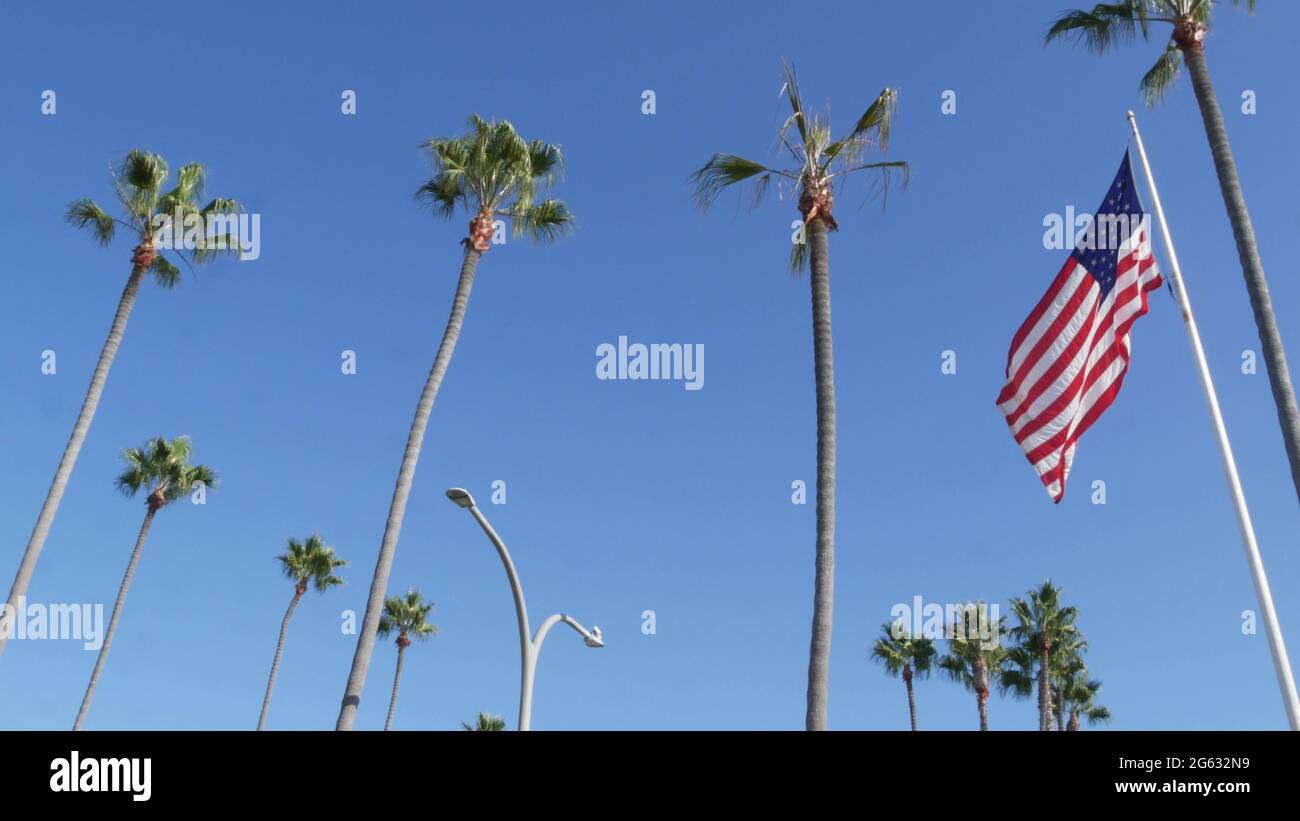Palms and american flag, Los Angeles, California USA. Summertime ...