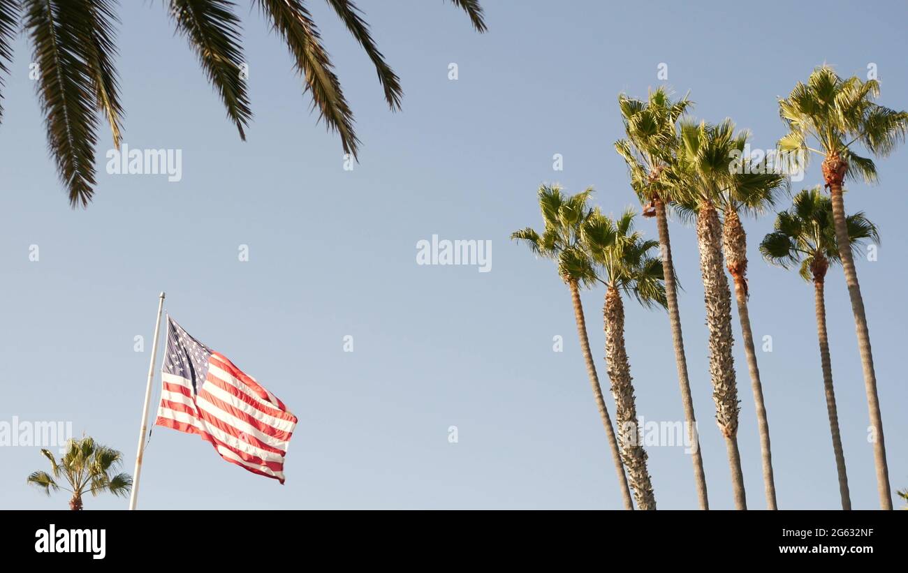 Palms and american flag, Los Angeles, California USA. Summertime ...