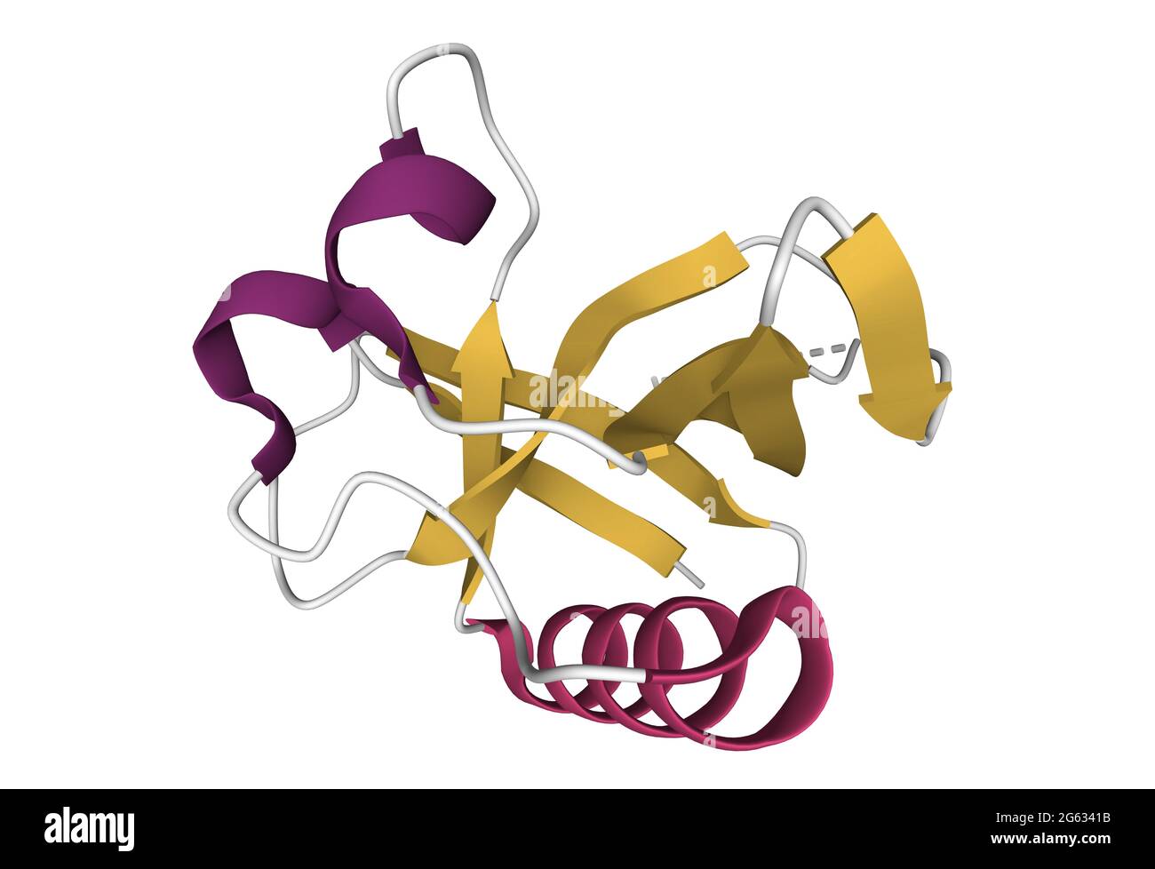 Mrna structure illustration hi-res stock photography and images - Alamy