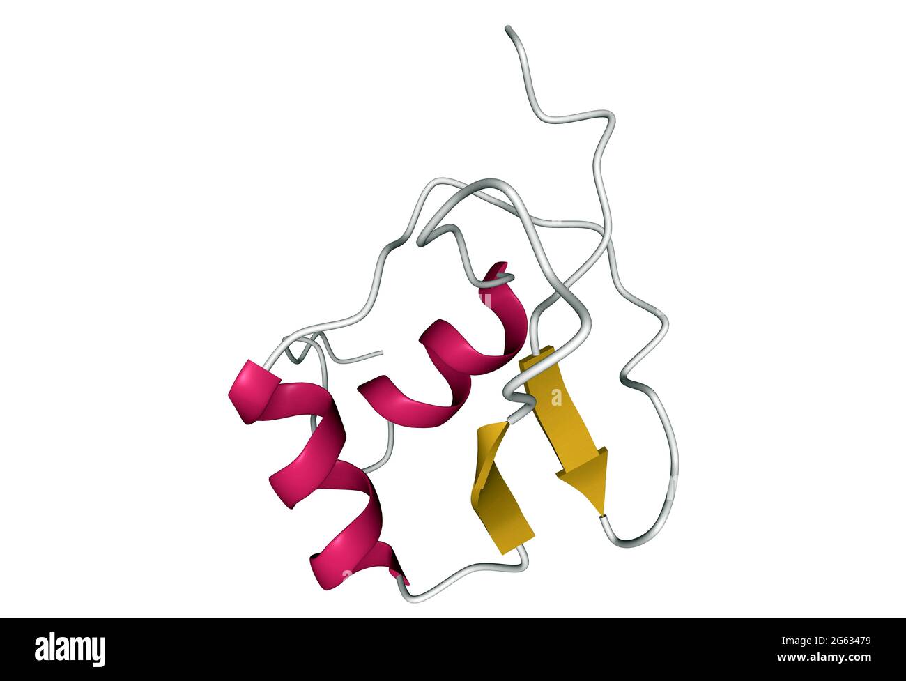 Protein Secondary Structure
