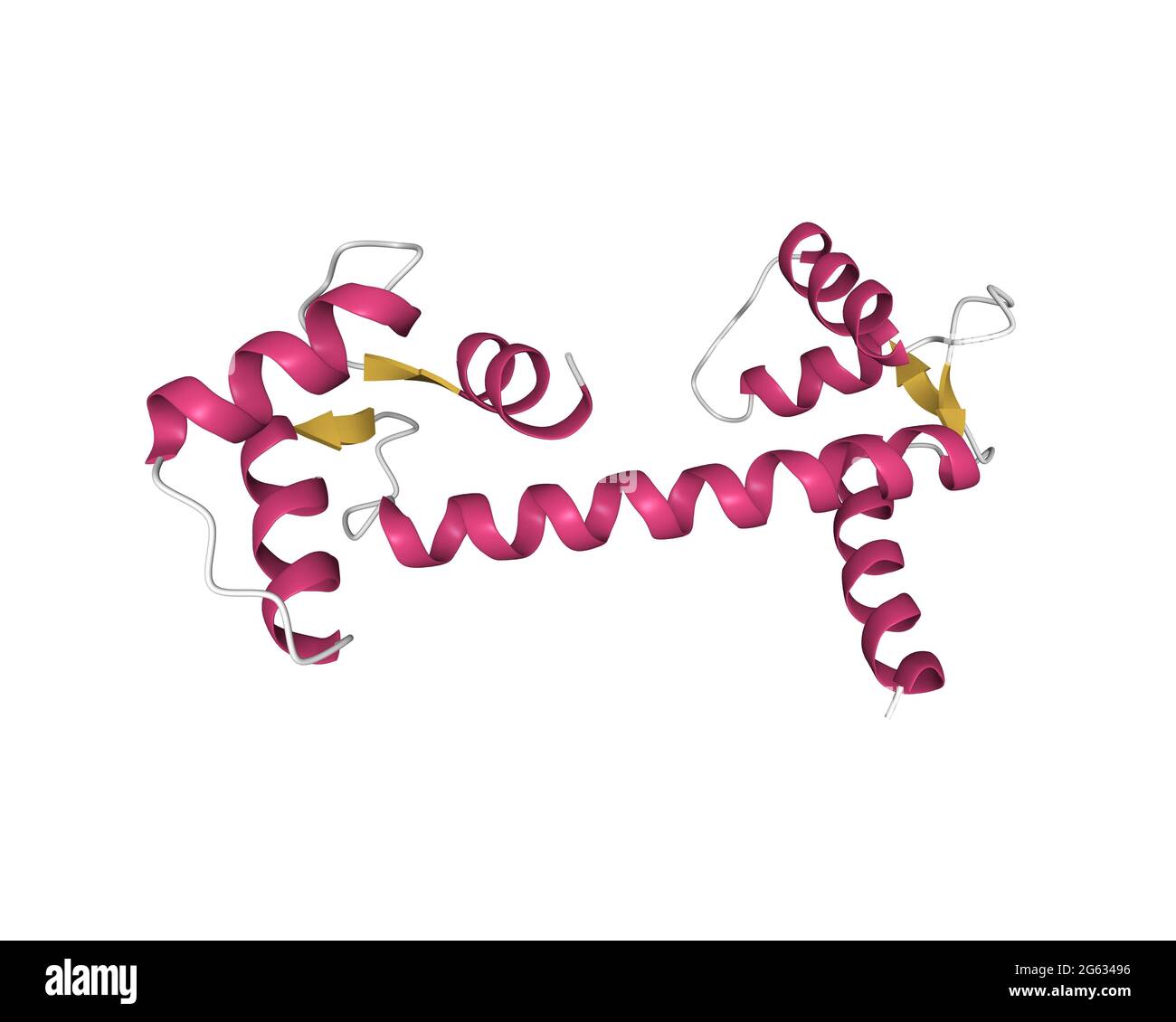 Structure of human calmodulin, 3D cartoon model with the differently ...