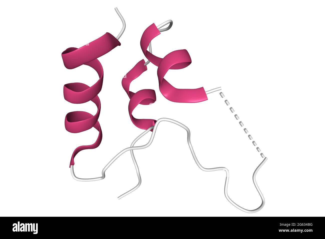 Tertiary Structure Of Insulin Proteins Perform Many Functions