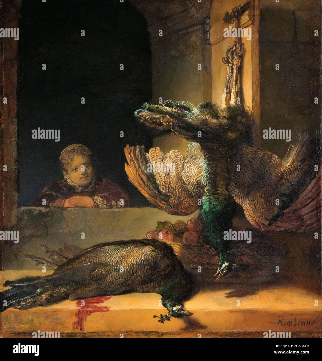 Rembrandt van Rijn, Still Life with Peacocks, painting, circa 1639 ...
