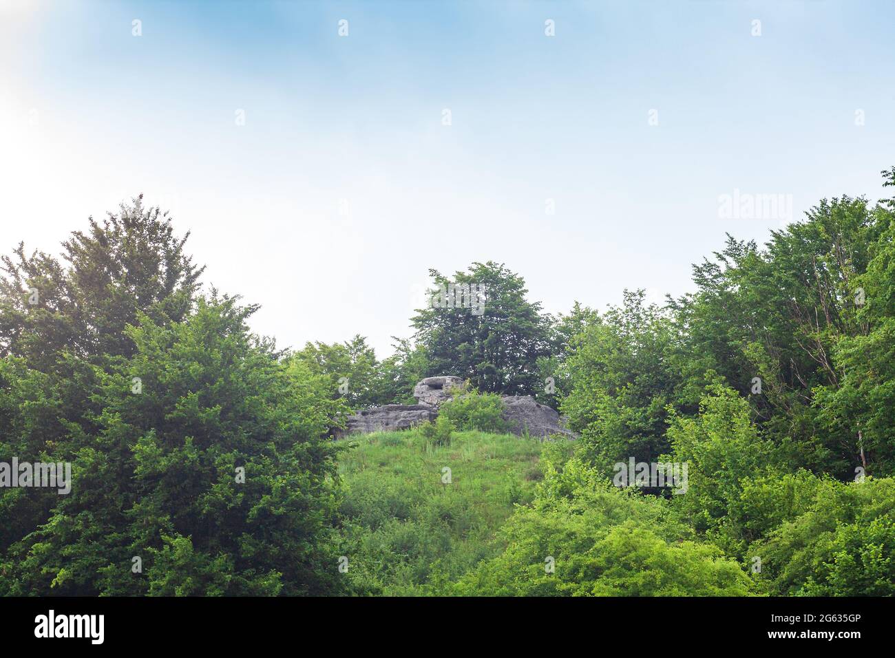 Abandoned old Austrian Pillbox from World War I in green forest bu ...
