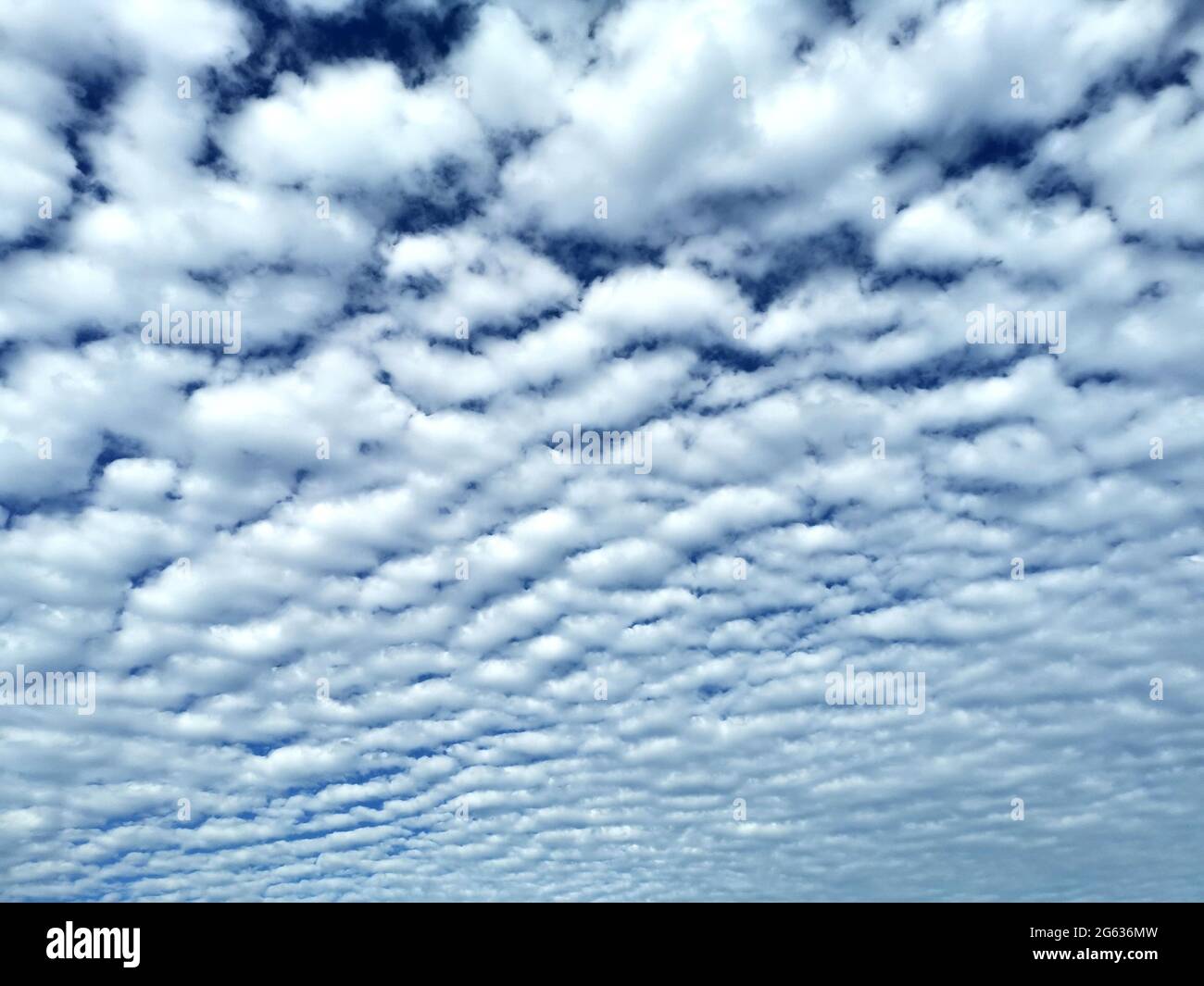 Altocumulus and Cirrocumulus, Small clouds spread across the blue sky ...