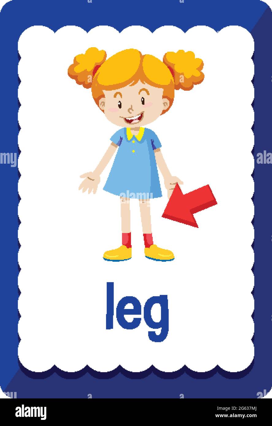 Leg study Stock Vector Images - Alamy