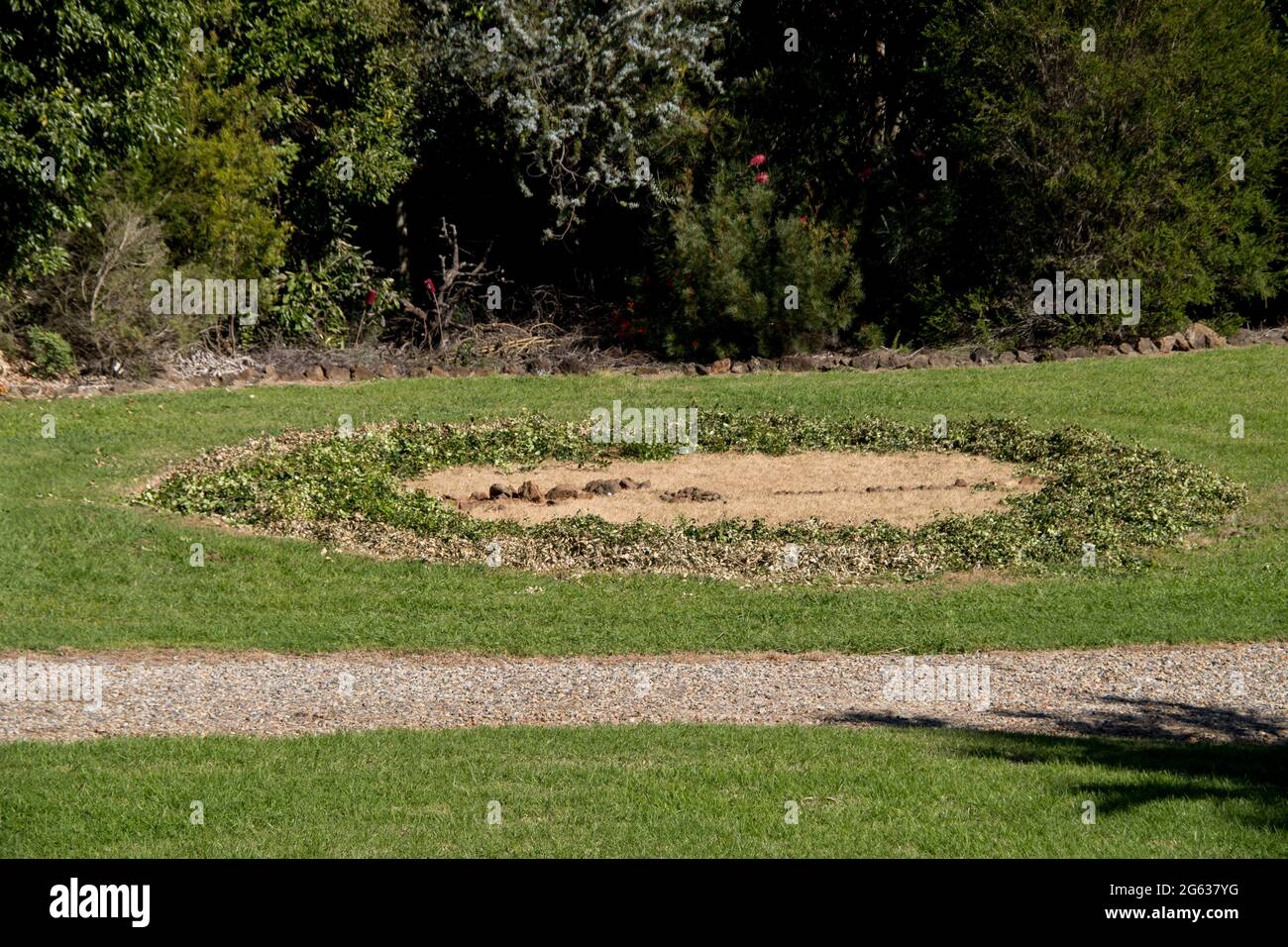 Leaf litter added hi-res stock photography and images - Alamy