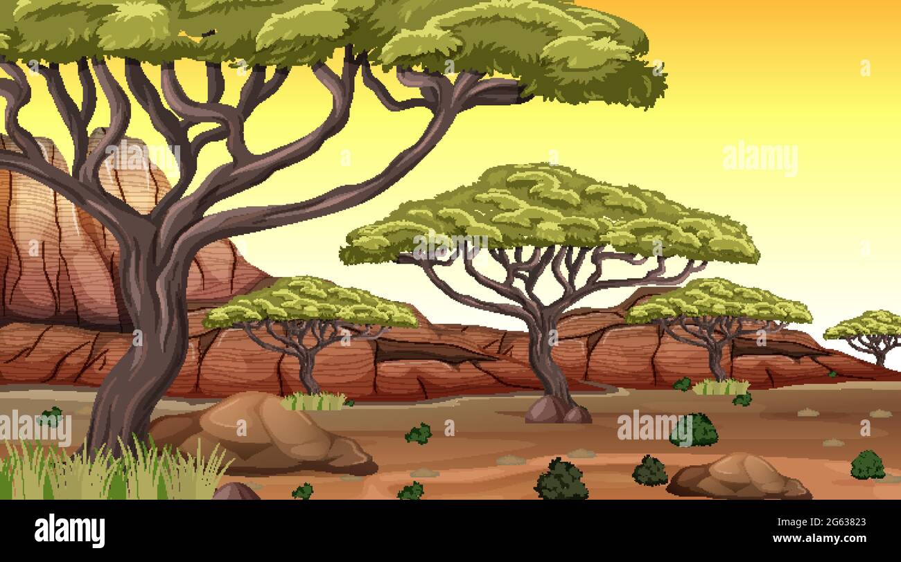 African Savanna forest landscape scene at sunset time illustration ...