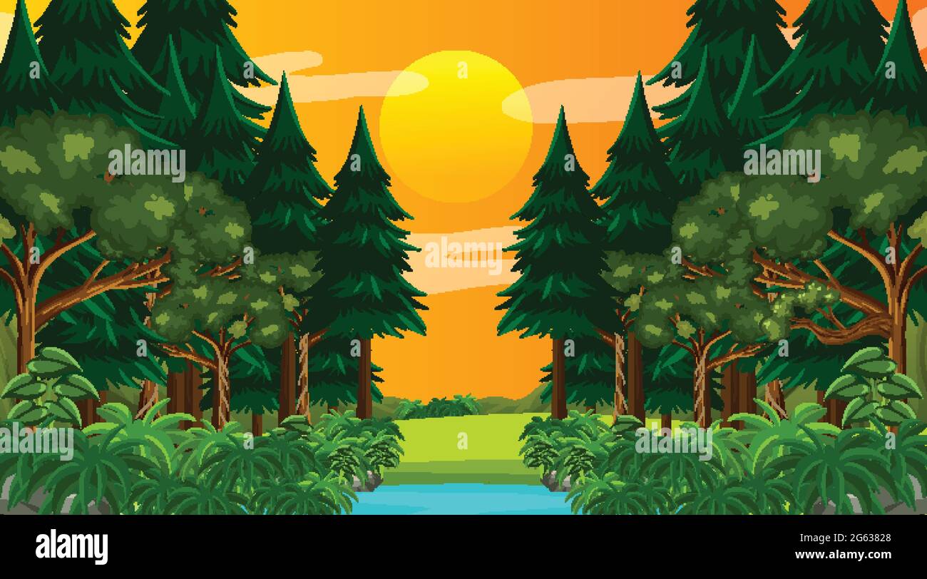 Rainforest or tropical forest at sunset time scene illustration Stock ...