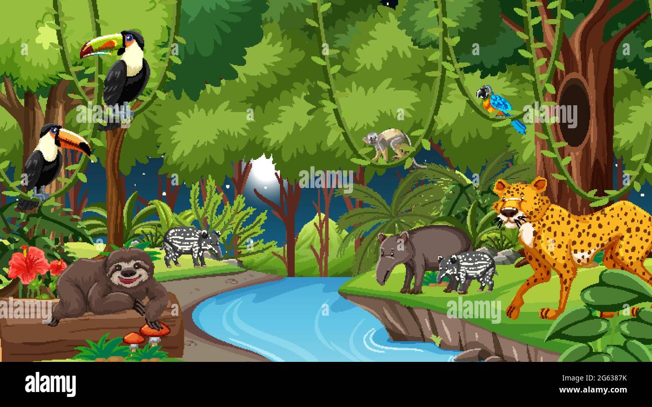 Forest at night landscape scene with different wild animals ...