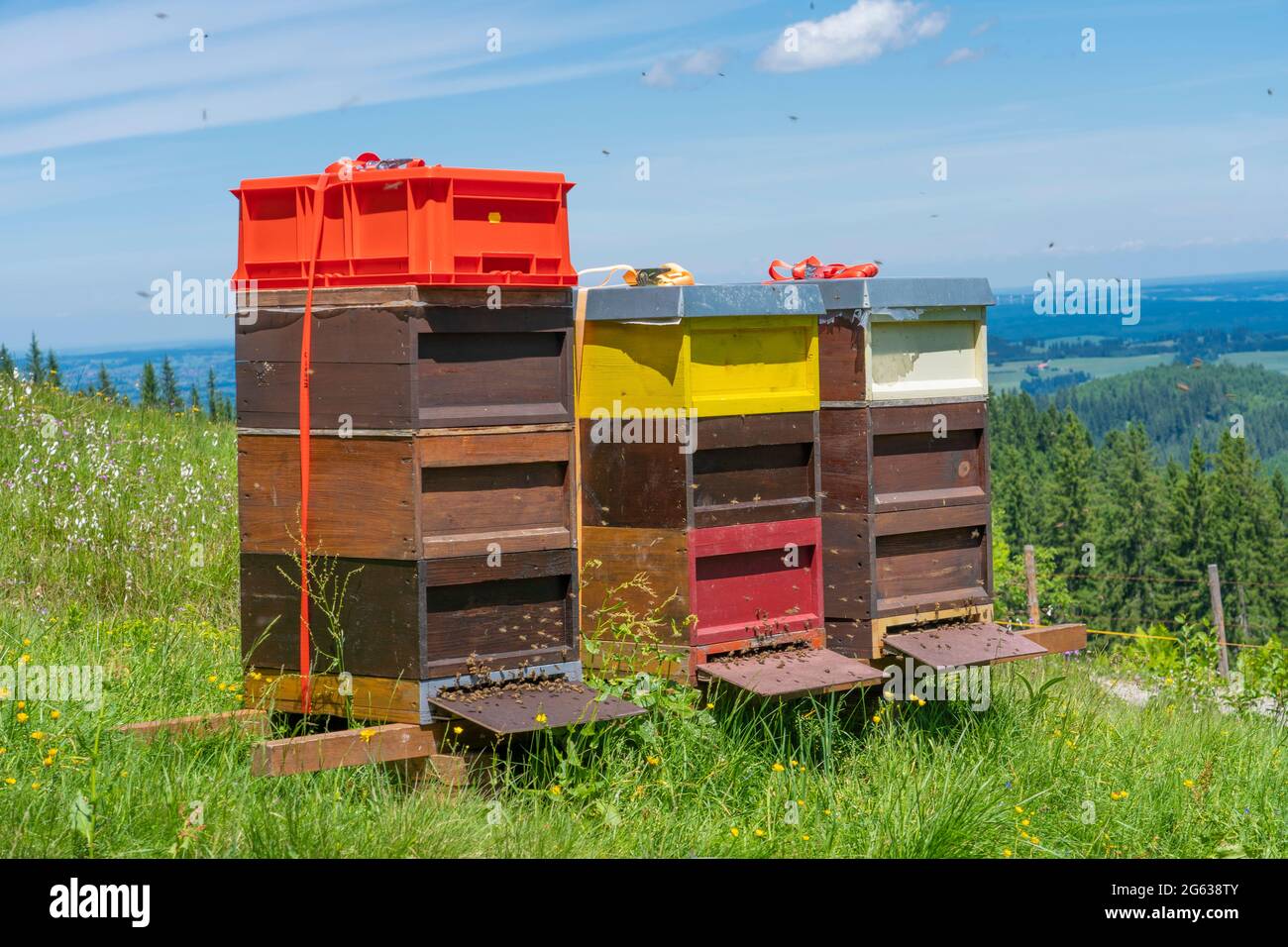 Beehives and flowers hi-res stock photography and images - Alamy