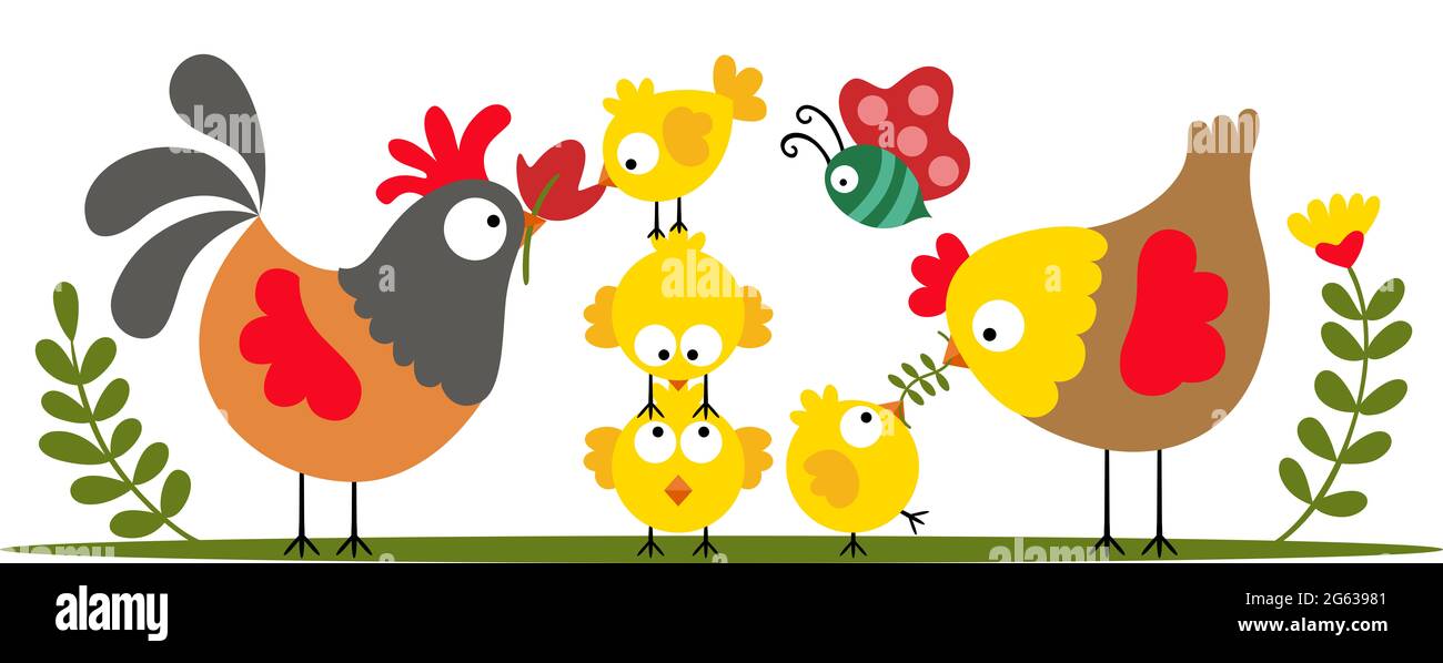 Rooster and hen with chicks in garden Stock Photo - Alamy