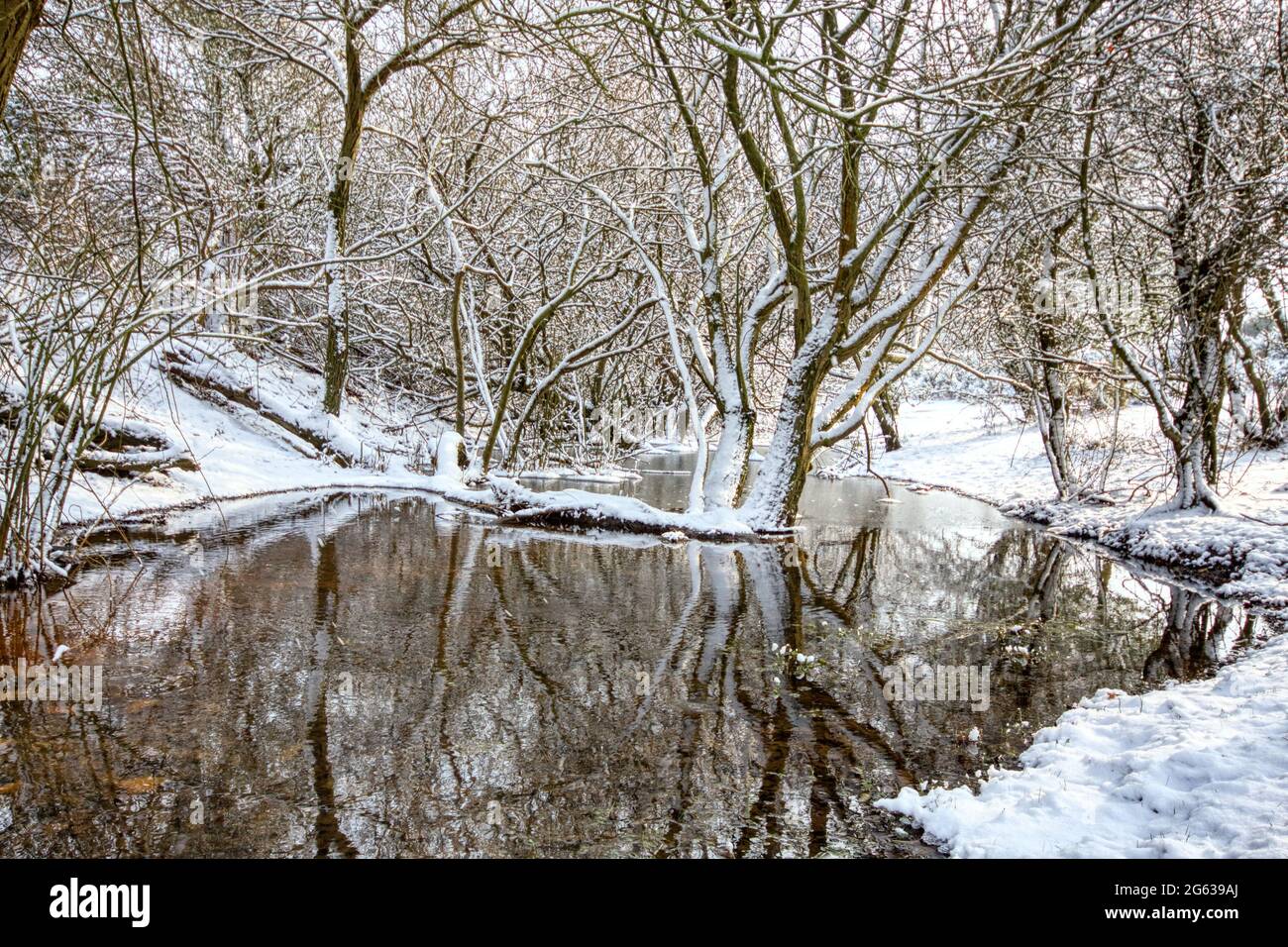 Frozen expression hi-res stock photography and images - Alamy