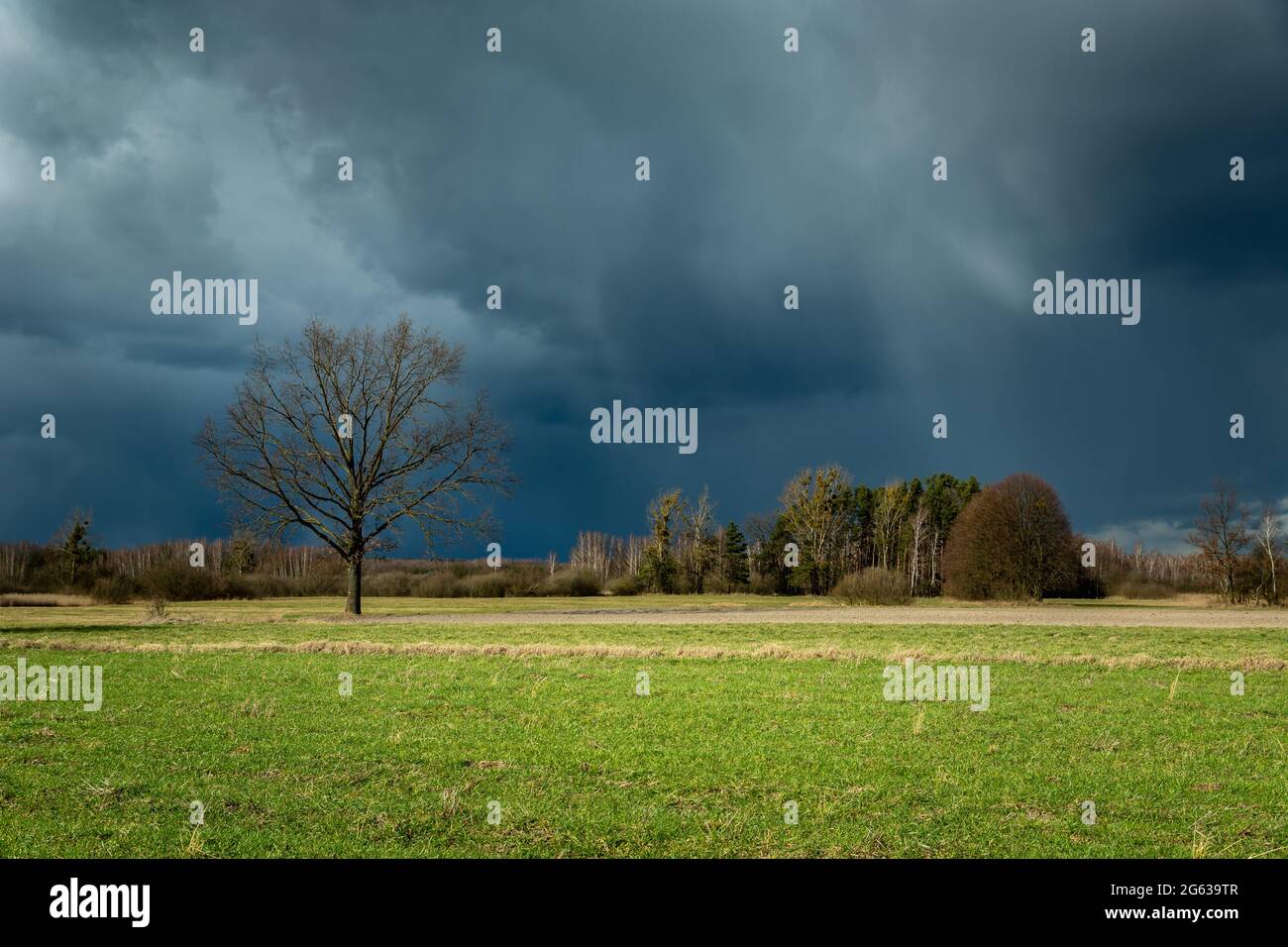 Poland heavy rain hi-res stock photography and images - Alamy