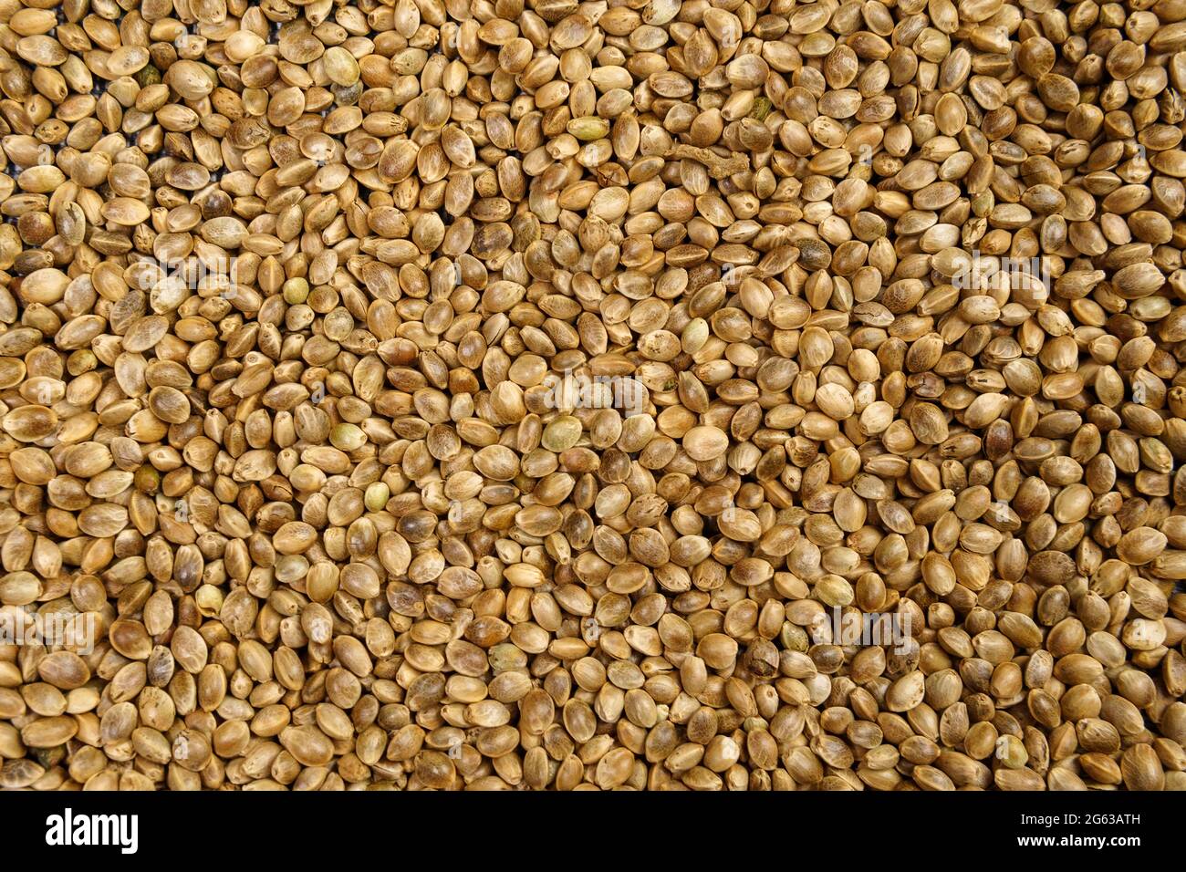 Cannabis seeds. Organic Hemp seed. texture. Hemp seeds background Stock ...